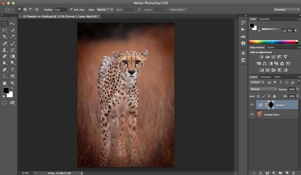 Using Vignettes to Focus Attention | Ken Koskela Photography