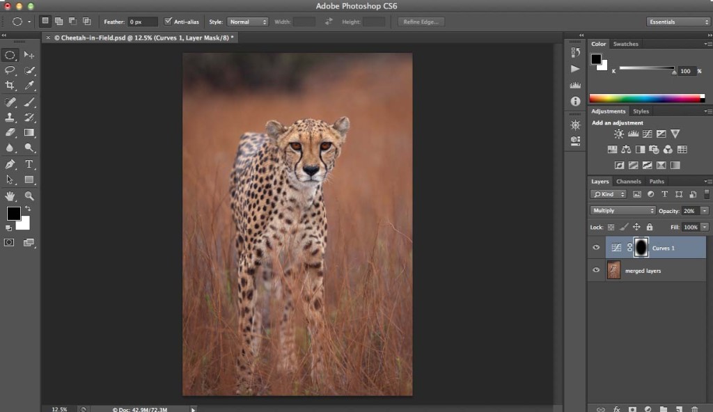 Using Vignettes to Focus Attention | Ken Koskela Photography